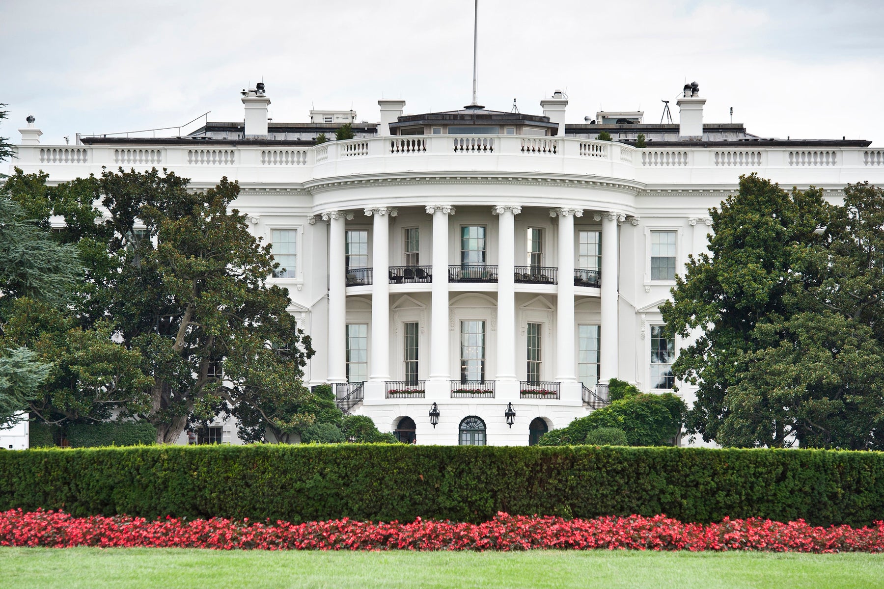 Why are non-establishment presidential candidates triumphing in early ...