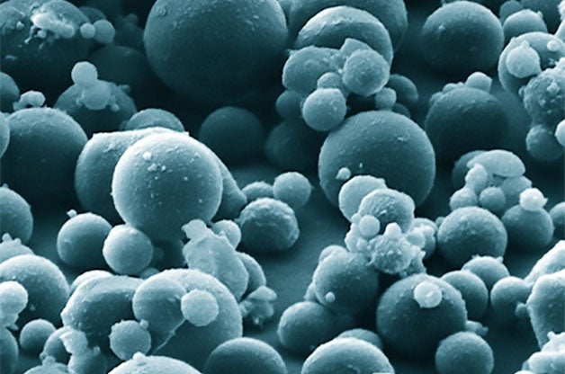 Saving Kids’ Health Through Smog Science - USC Today