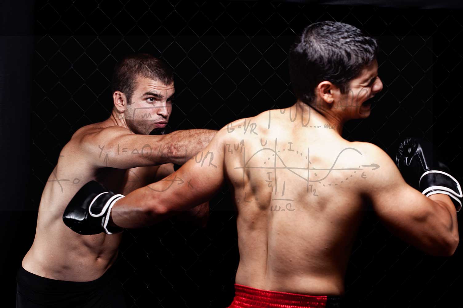 Martial arts enthusiast — and scientist — breaks down the physics of ...