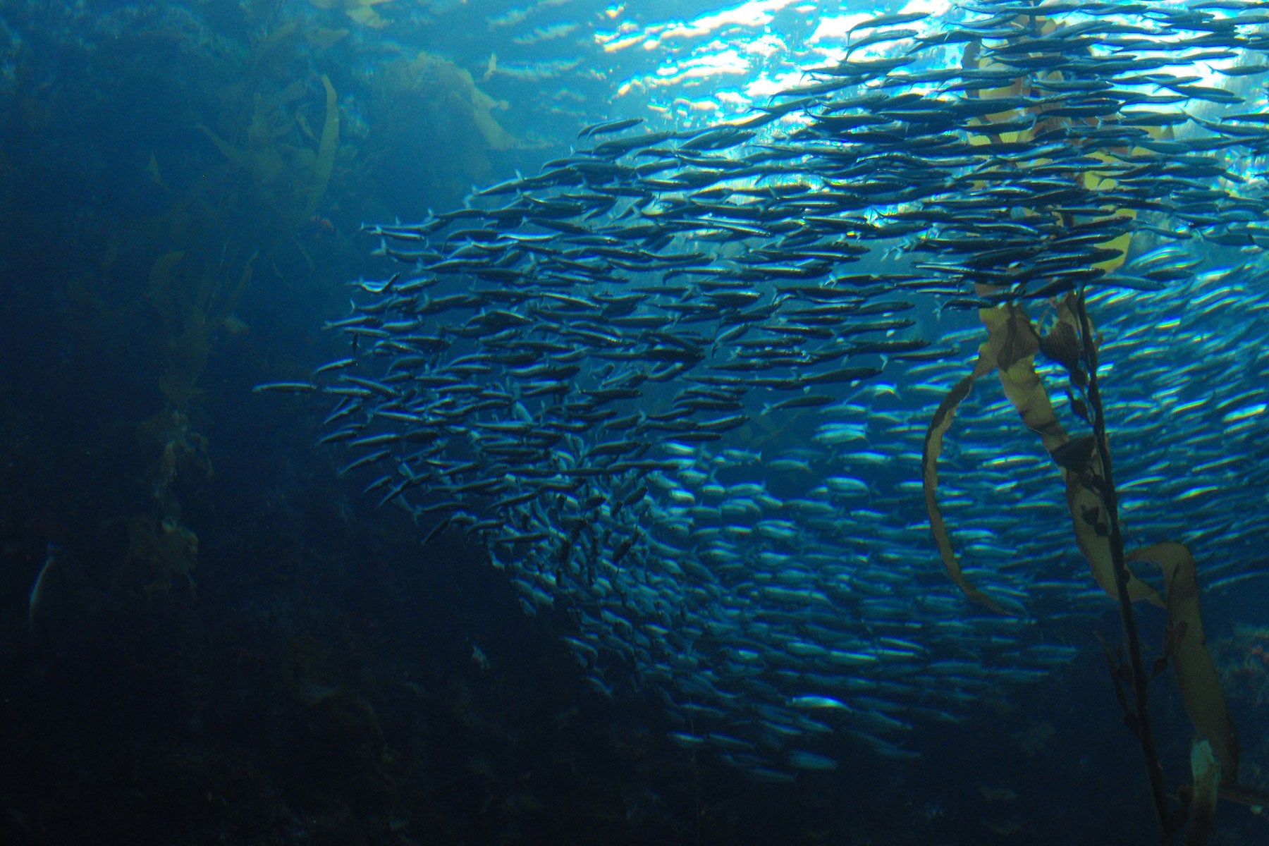 What water patterns tell us about new technologies