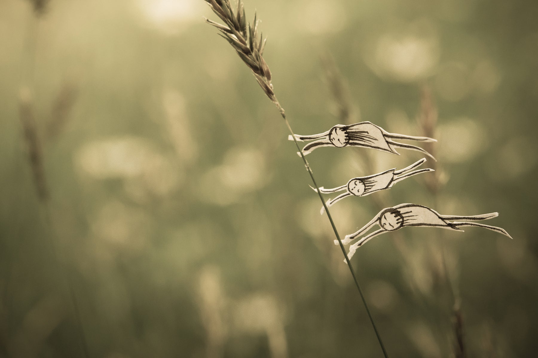 What is resilience? USC researchers are seeking its secrets What is resilience? USC researchers are seeking its secrets