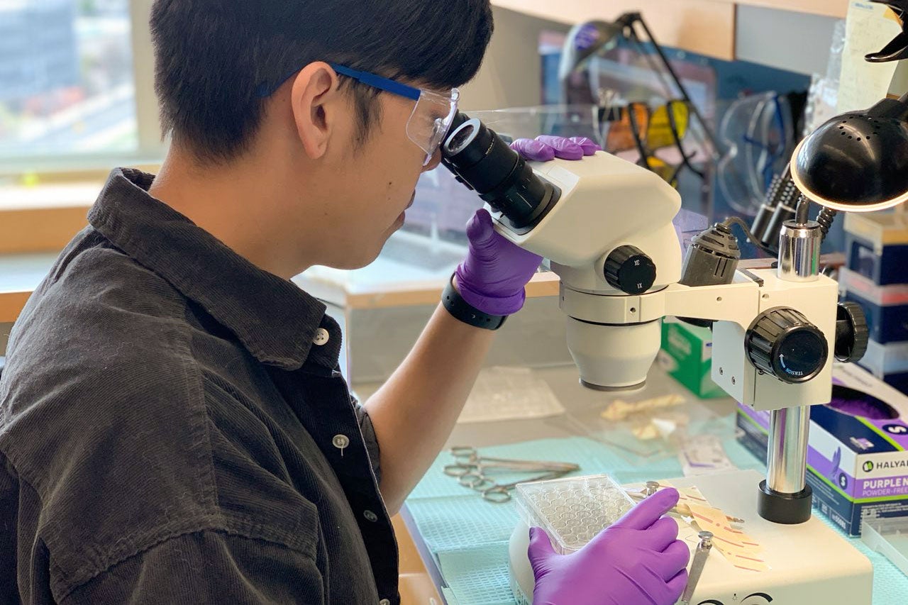 USC-educated immunobiologist receives prestigious Soros Fellowship