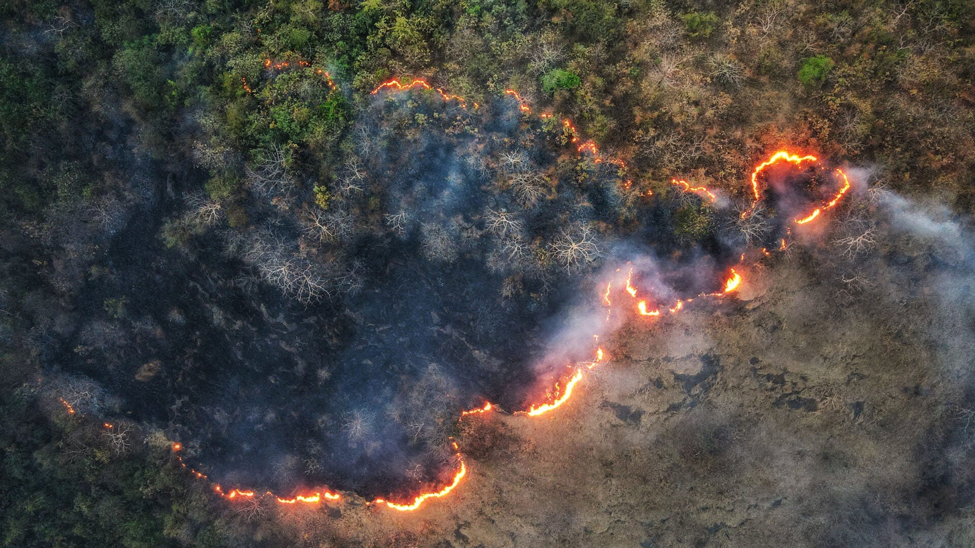 Scientists use AI to predict a wildfire’s next move — USC News Scientists use AI to predict a wildfire’s next move — USC News